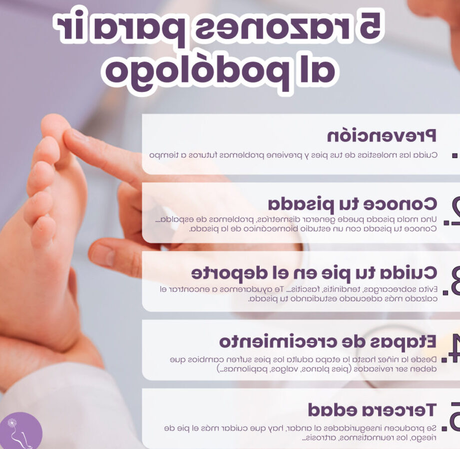 Todo lo que necesitas saber: ¿Qué hay que estudiar para convertirse en ...